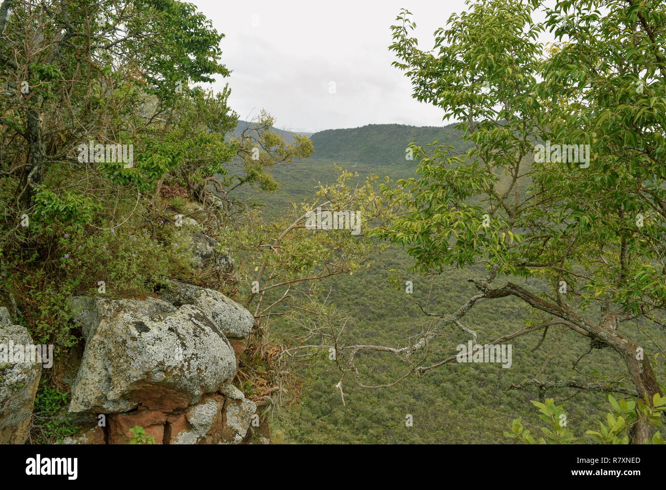 The volcanic crater at Mount Suswa, Rift Valley, KENYA Stock Photo - Alamy