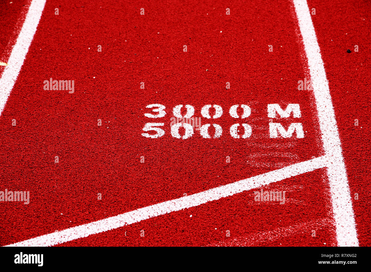 The start line for the 3000 and 5000 meter track and field race Stock ...