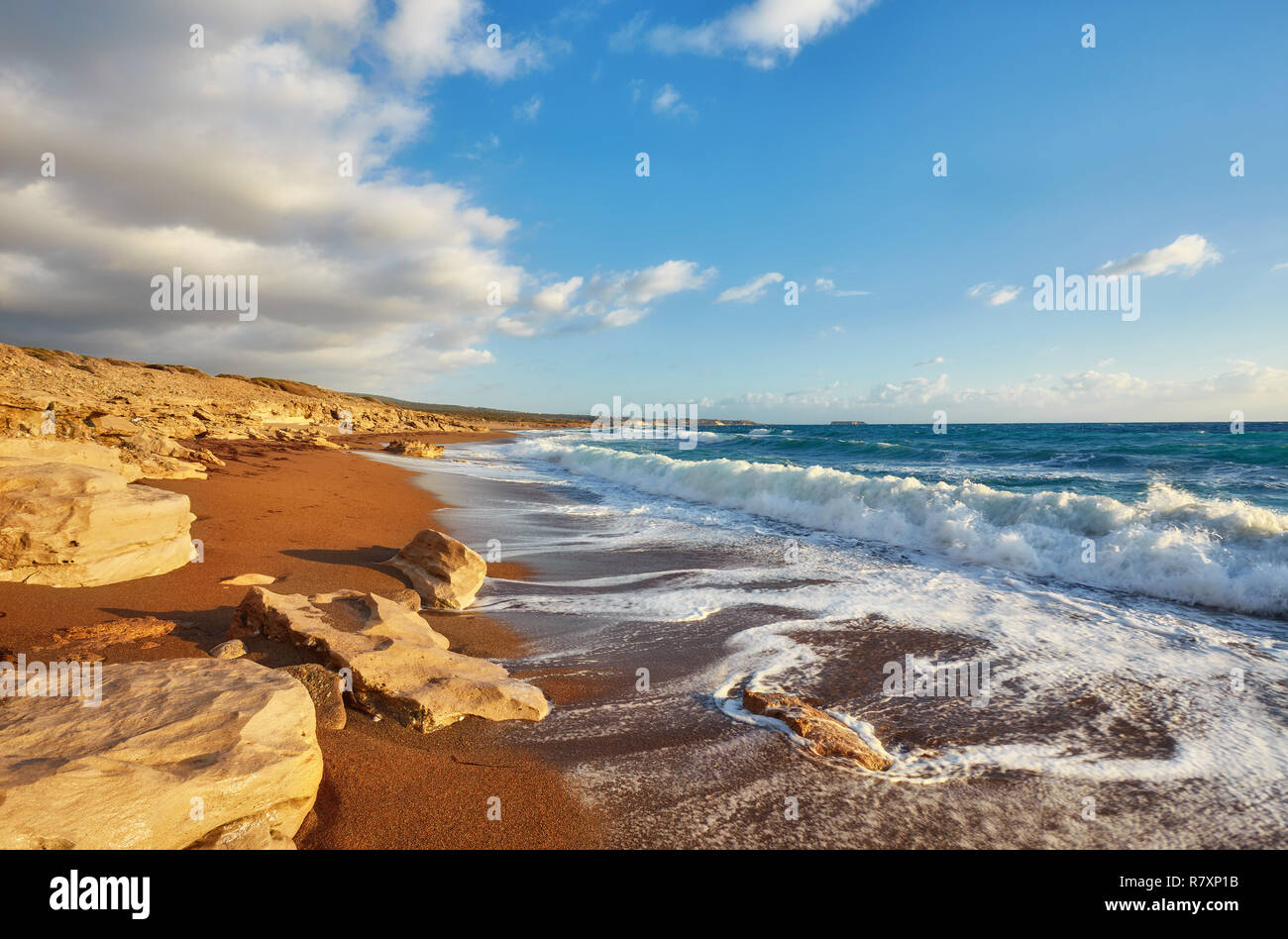 Lara bay turtles hi-res stock photography and images - Alamy