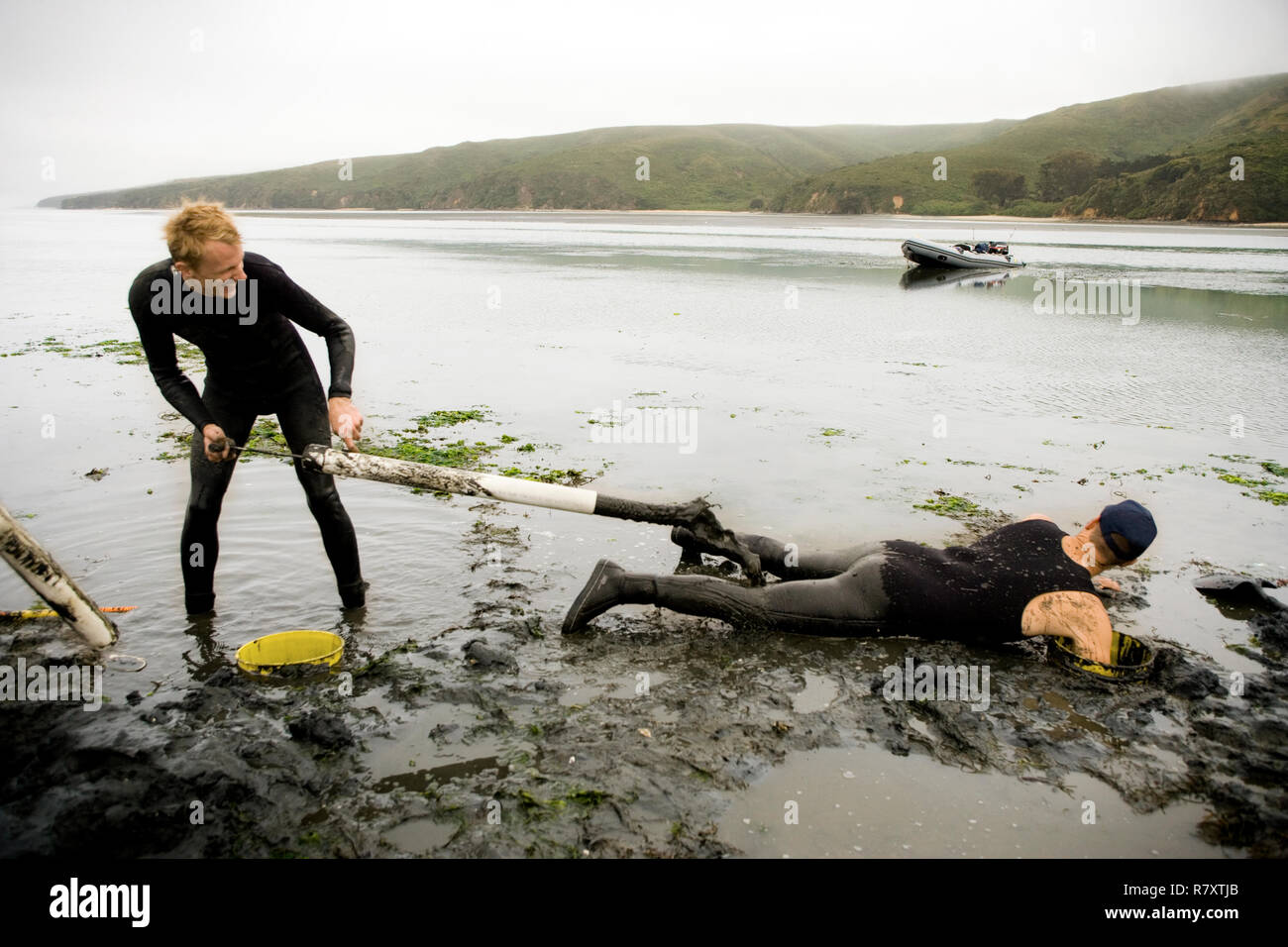 View of two friends on the muddy beach Stock Photo - Alamy