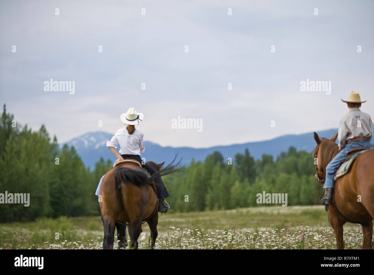 Two boys riding horses hi-res stock photography and images - Alamy