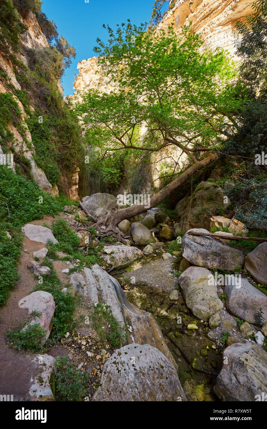 Amazing natural landscape in the Avakas canyon in Cyprus. National ...
