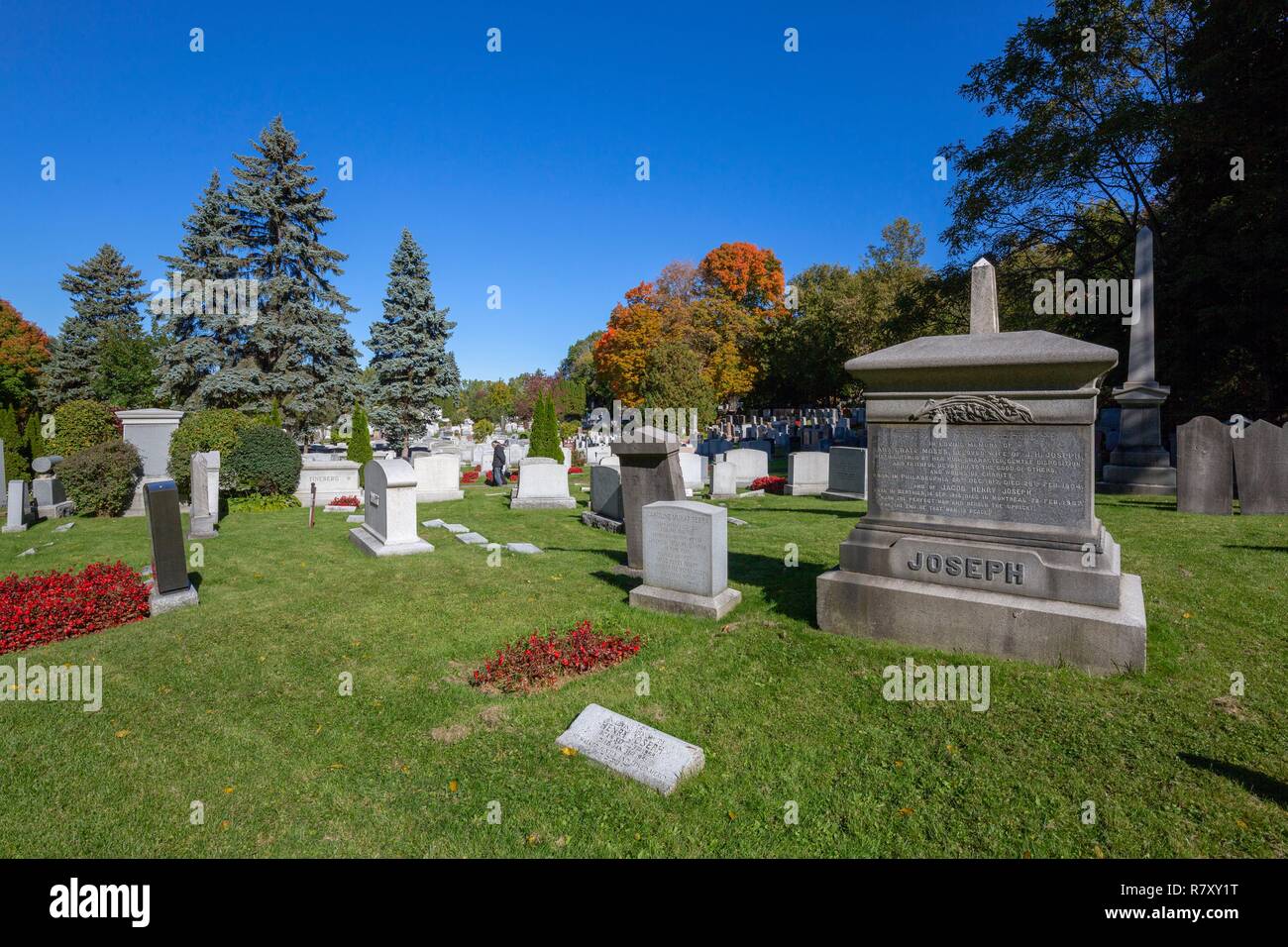 Jewish monument canada hi-res stock photography and images - Alamy