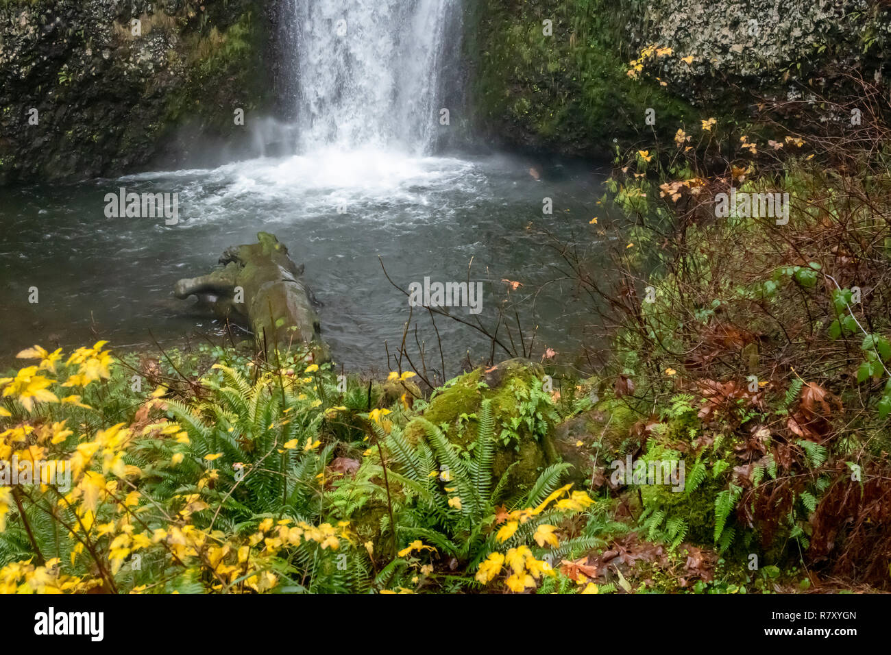 Multnomah Falls (Double-plunge) in the Columbia River Gorge, Oregon ...