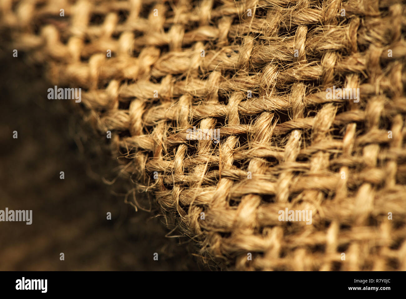 Hessian backdrop hi-res stock photography and images - Alamy