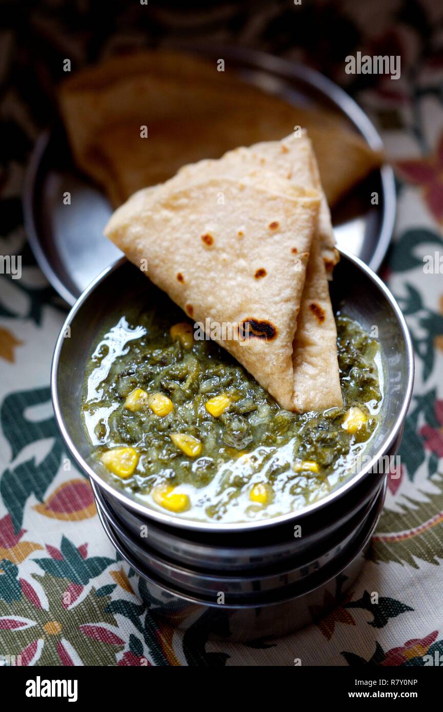 India, Maharashtra state, Mumbai (Bombay), tiffing box spinach and corn ...
