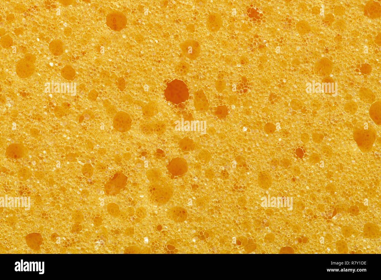 Macro texture of yellow sponge Stock Photo - Alamy
