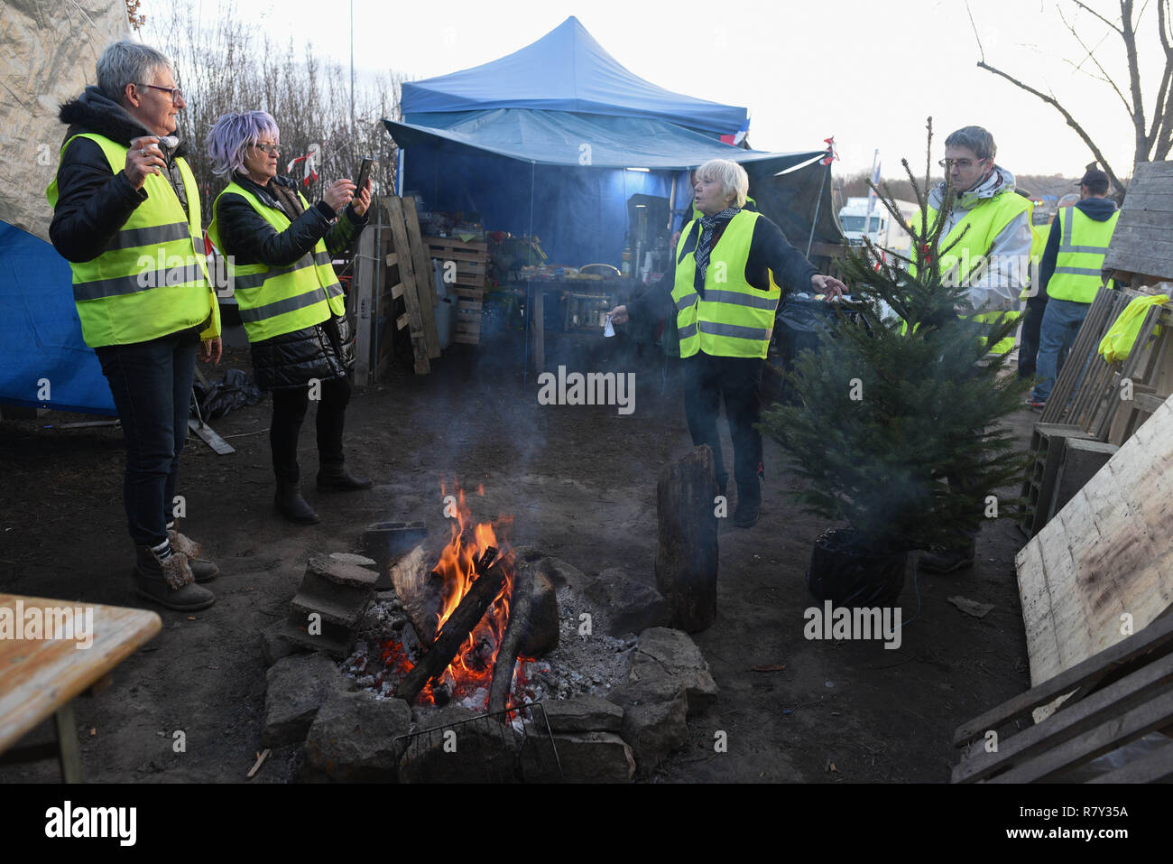Sapin president tree hi-res stock photography and images - Alamy