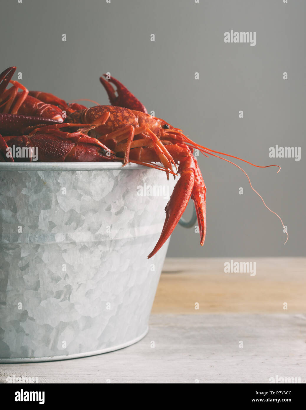 Louisiana swamp crayfish hi-res stock photography and images - Alamy