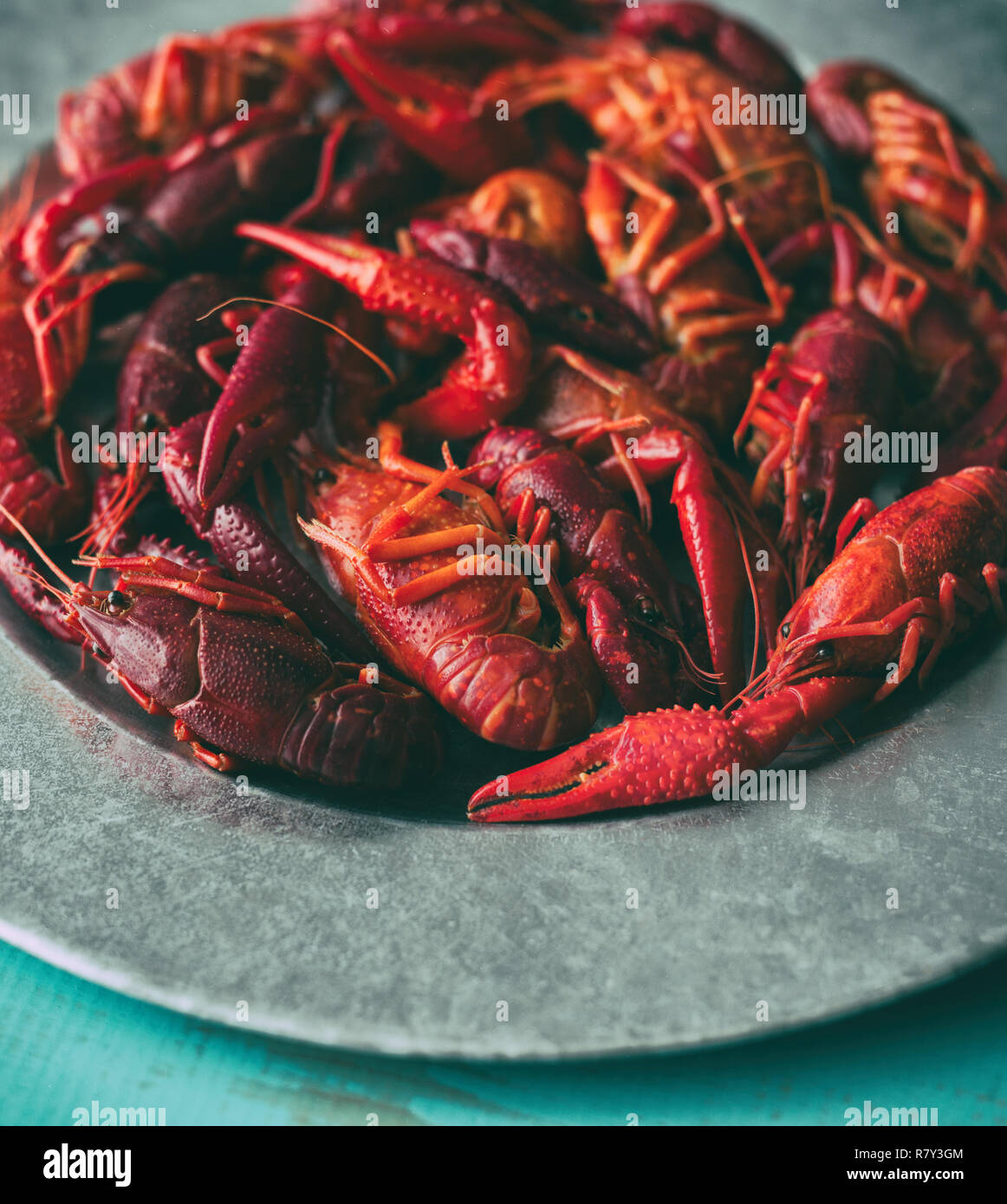 Steel claws hi-res stock photography and images - Alamy