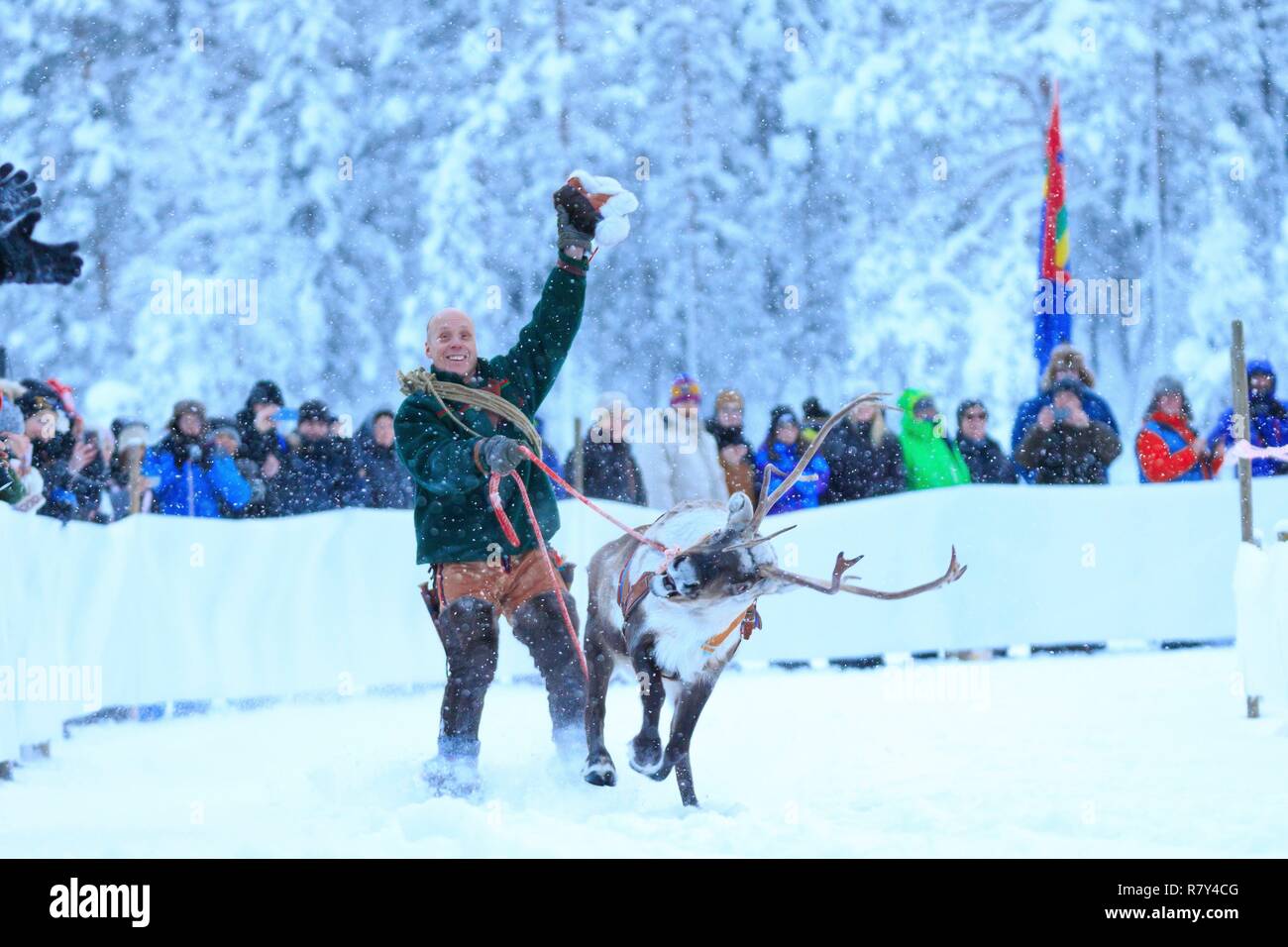 Sami man and reindeer hi-res stock photography and images - Alamy