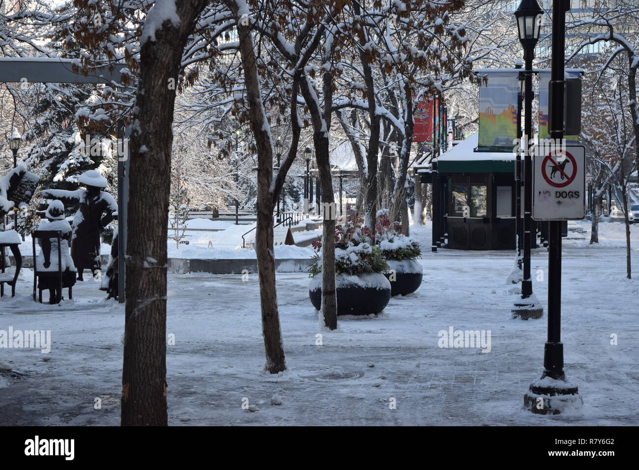 winter scenes from downtown Calgary Stock Photo - Alamy