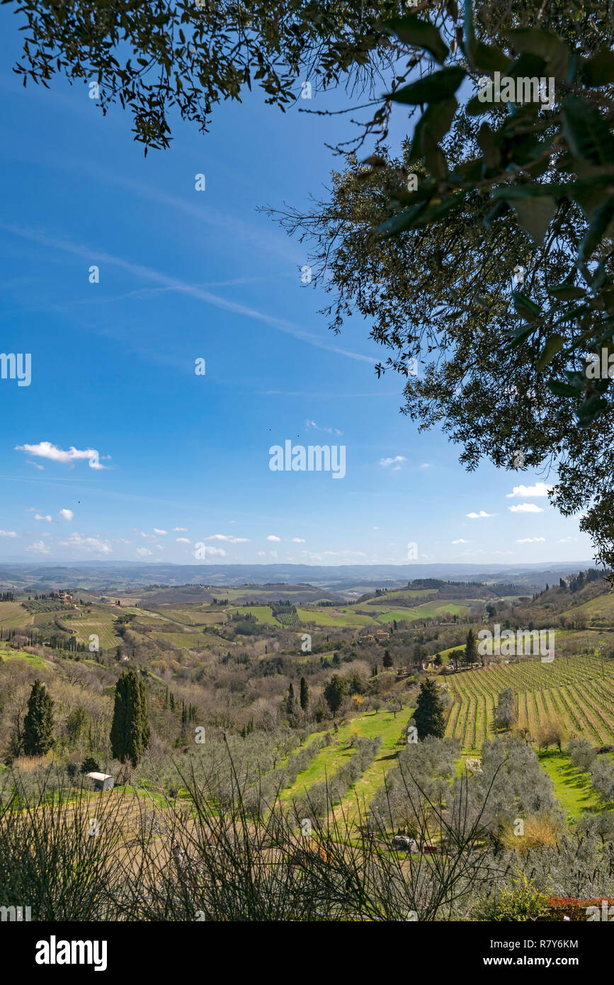 Vertical view of the wine growing countryside in Tuscany, Italy Stock ...
