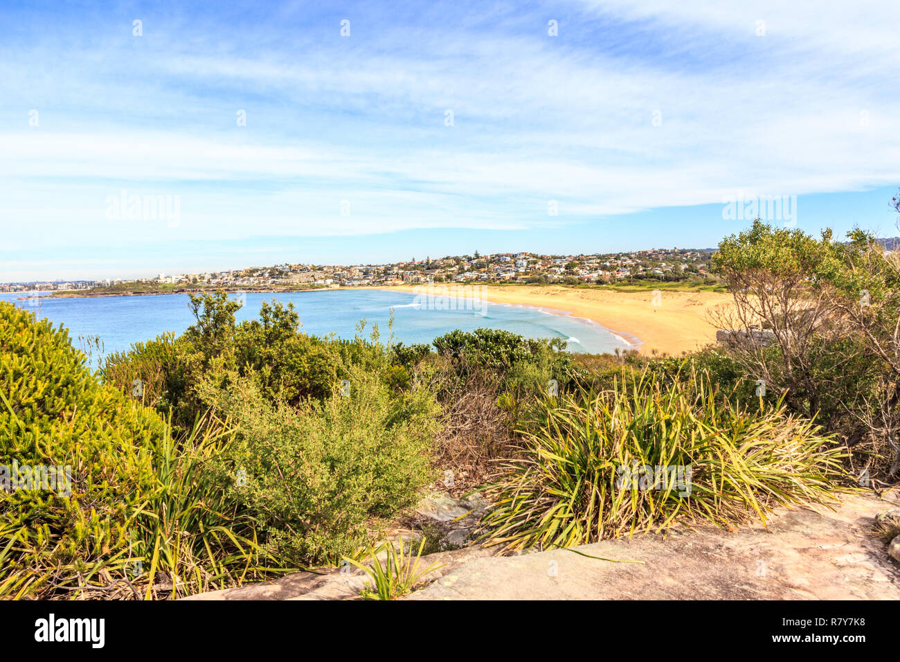 View Over Curl Curl Beach Sydney New South Wales Nsw Australia