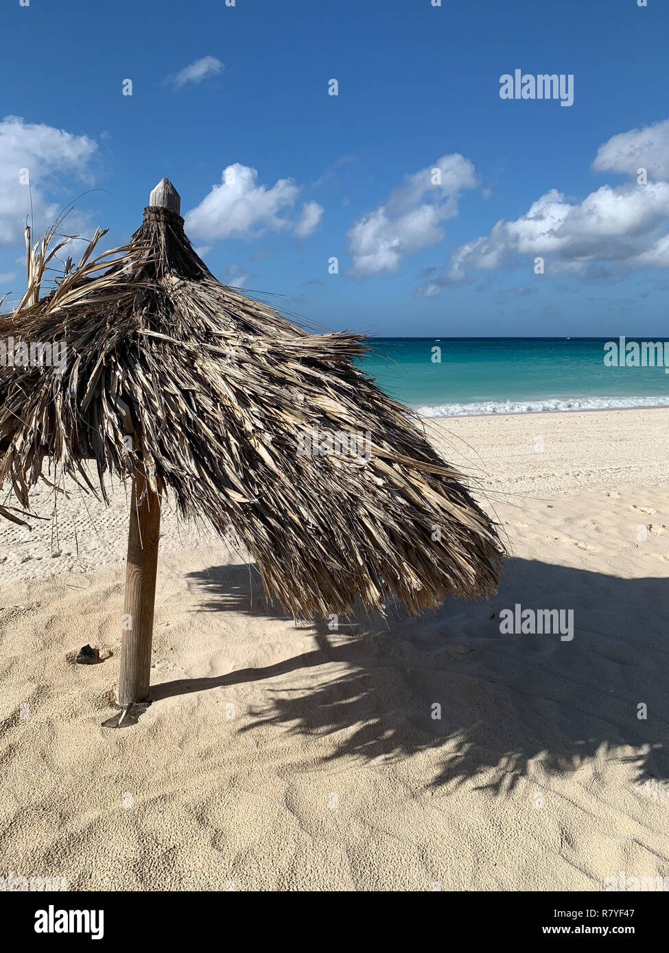 Aruba beach - tropical white sand beach with aquamarine water - Divi ...