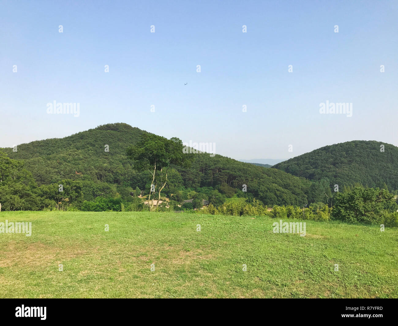 Panorama. Summer green landscape in South Korea Stock Photo - Alamy
