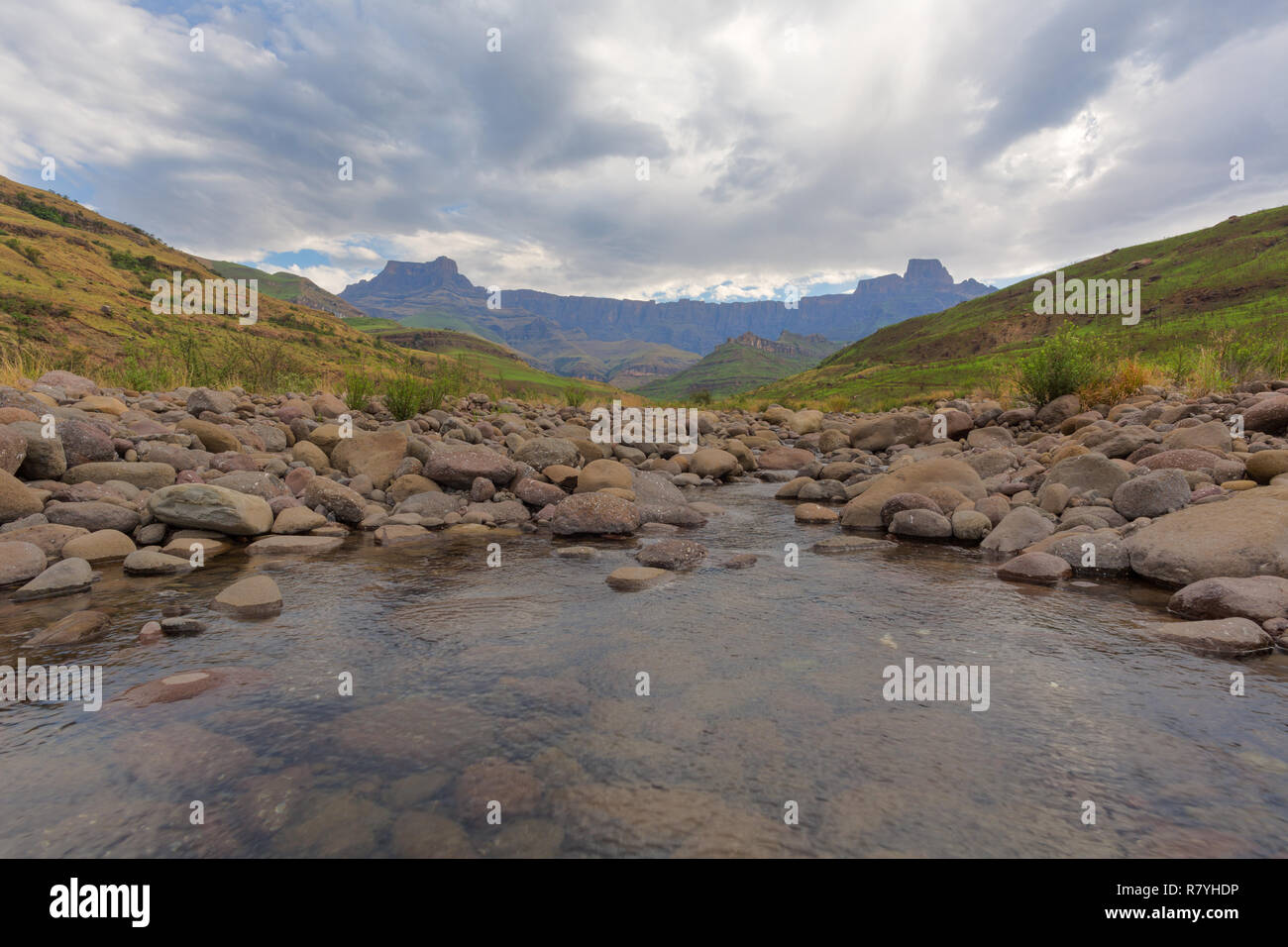 Low water level in the river Stock Photo - Alamy