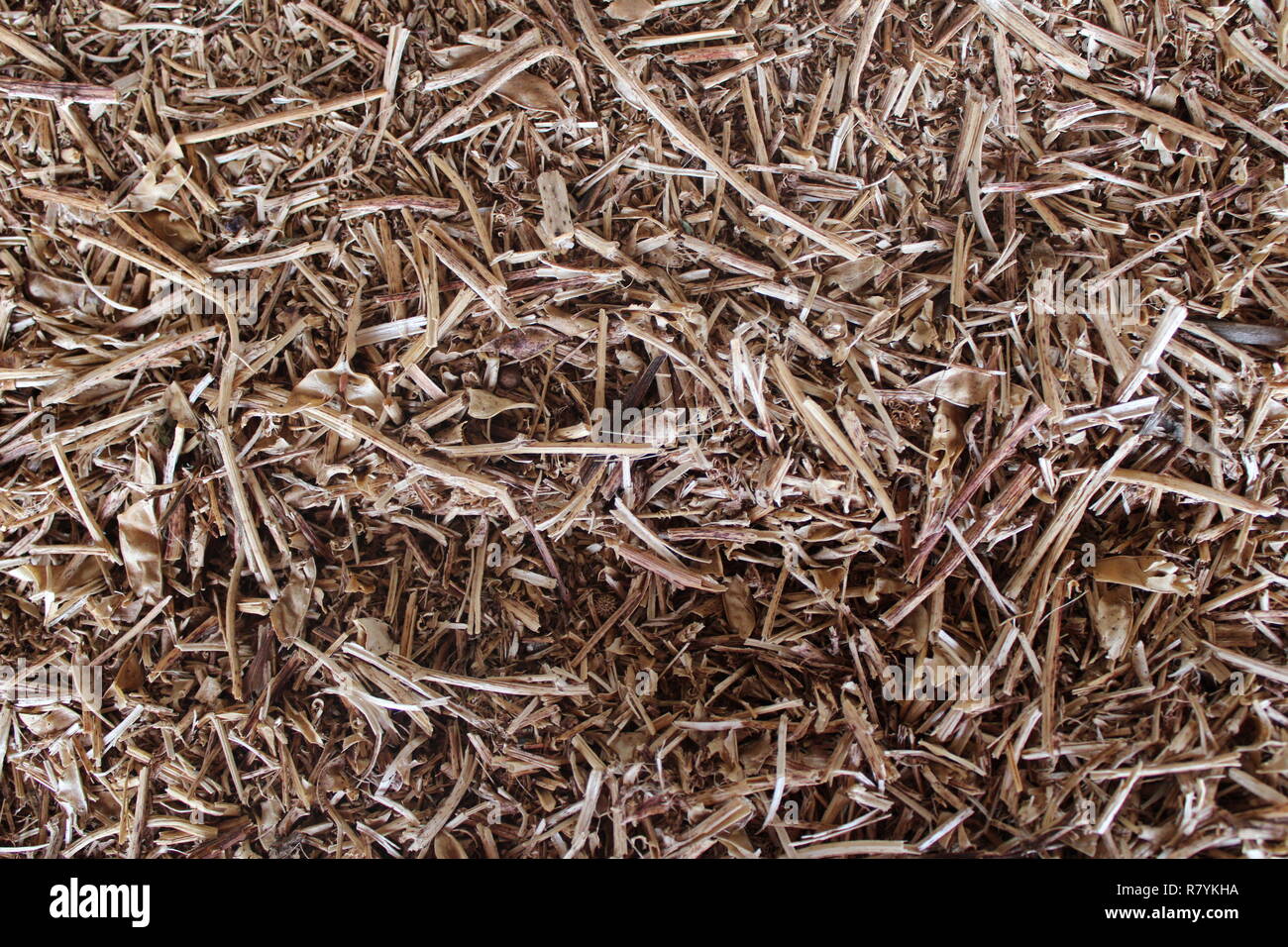 Vetch Hay Background Stock Photo - Alamy