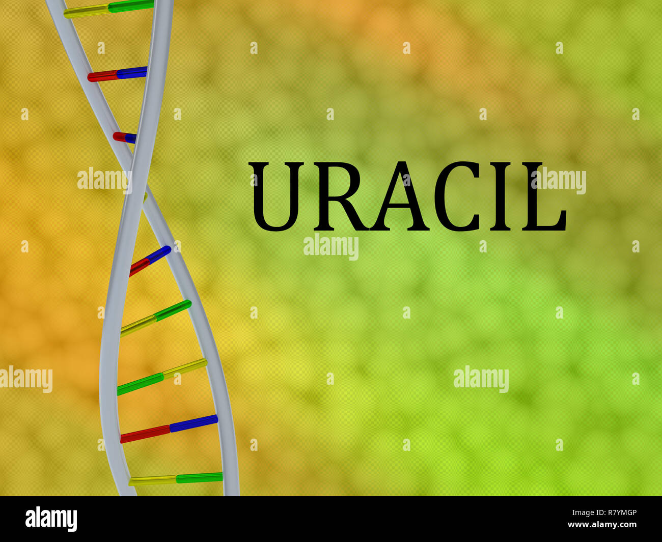 3D illustration of URACIL script with DNA double helix , isolated on ...