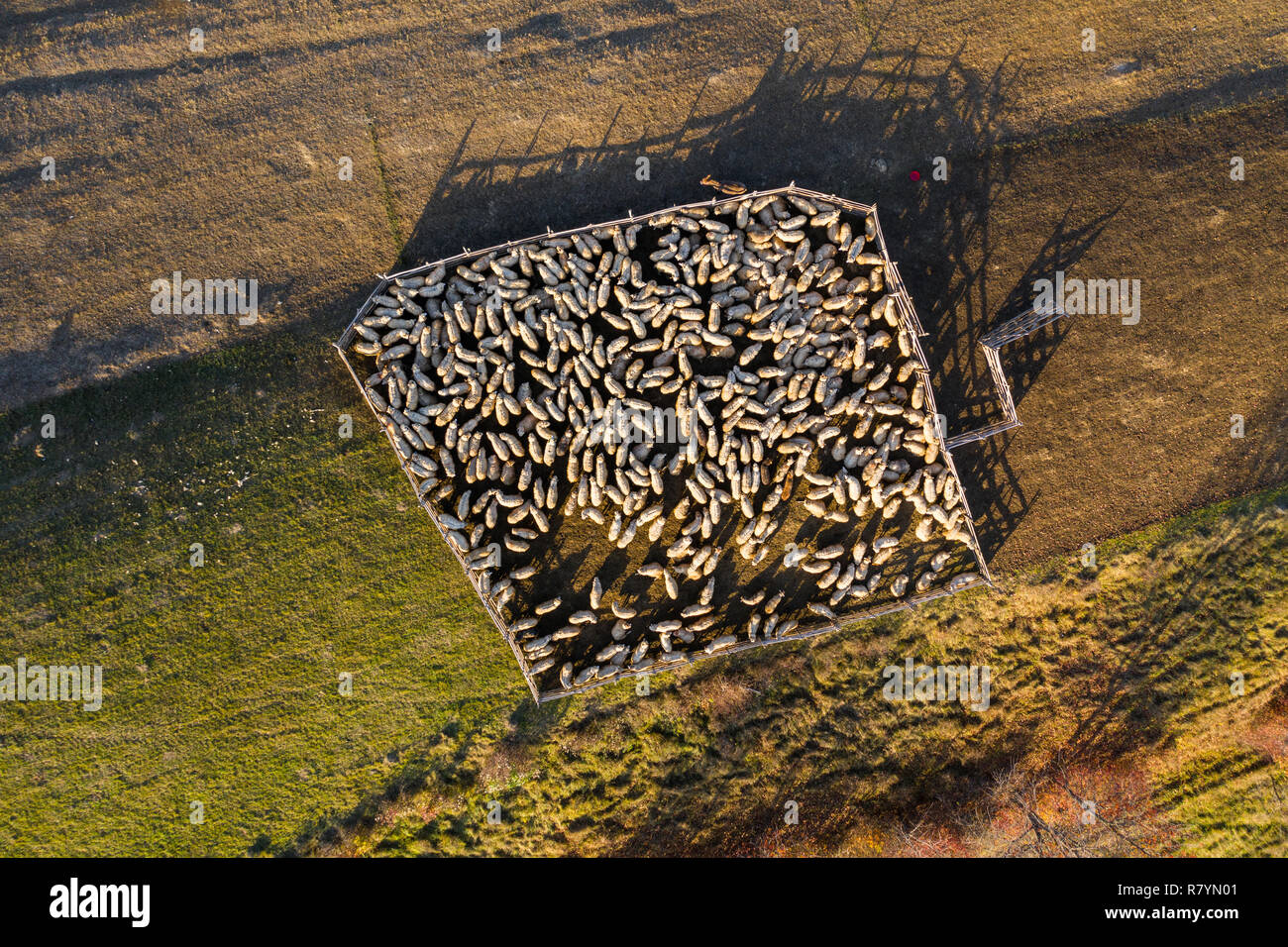 Aerial view sheepfold hi-res stock photography and images - Alamy