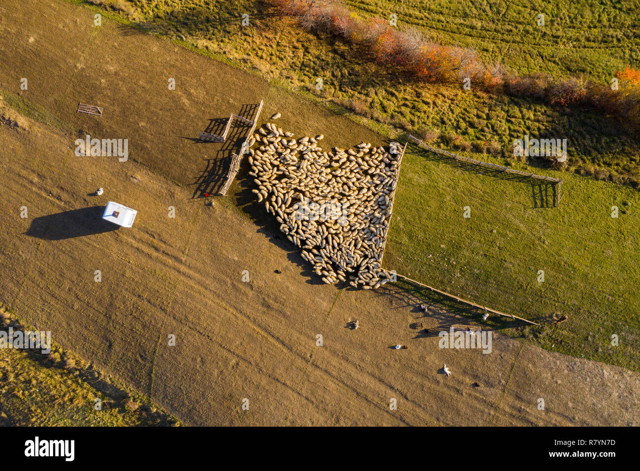 Aerial view sheepfold hi-res stock photography and images - Alamy