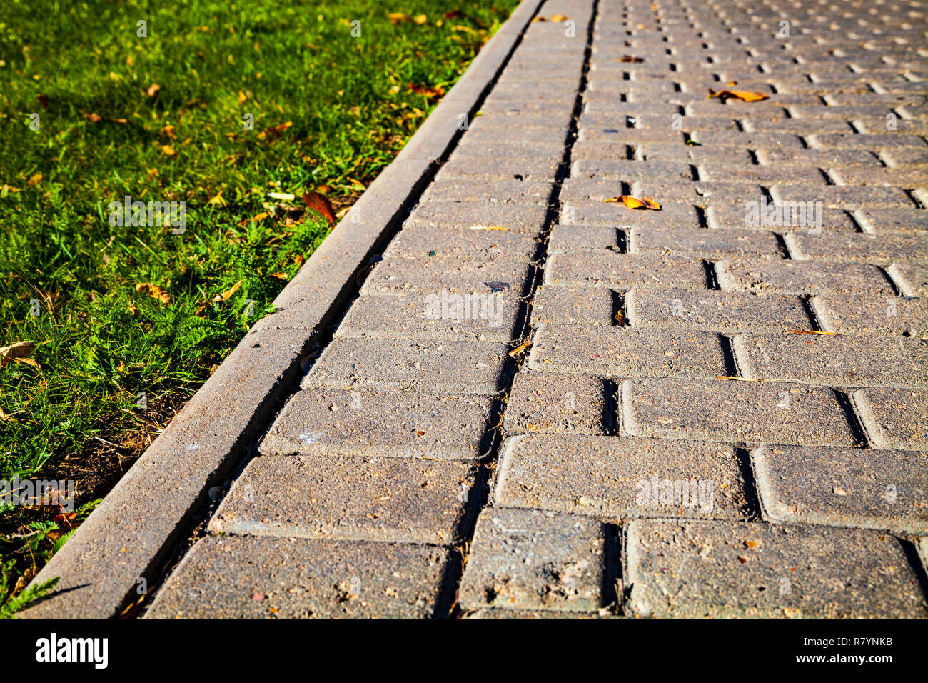 Stone path in the park and green lawn. Beautiful summer city park for ...