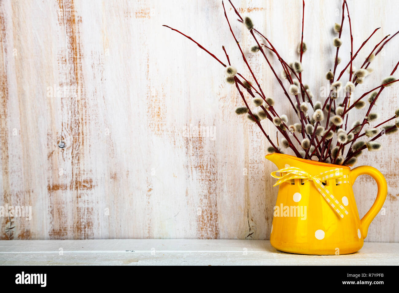 Still life with twigs of willow in a vase. Palm Sunday Stock Photo - Alamy