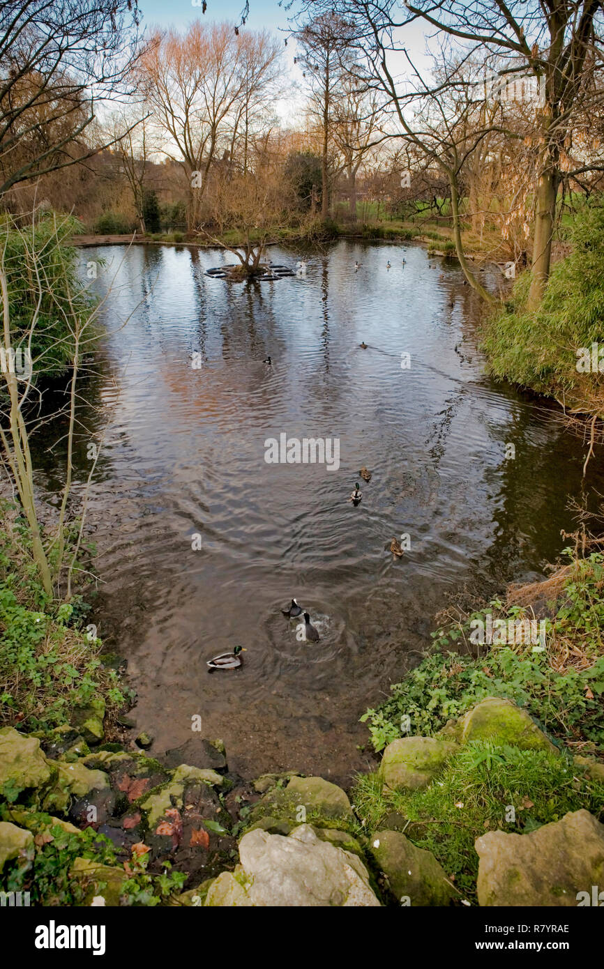 Brockwell park london hi-res stock photography and images - Alamy