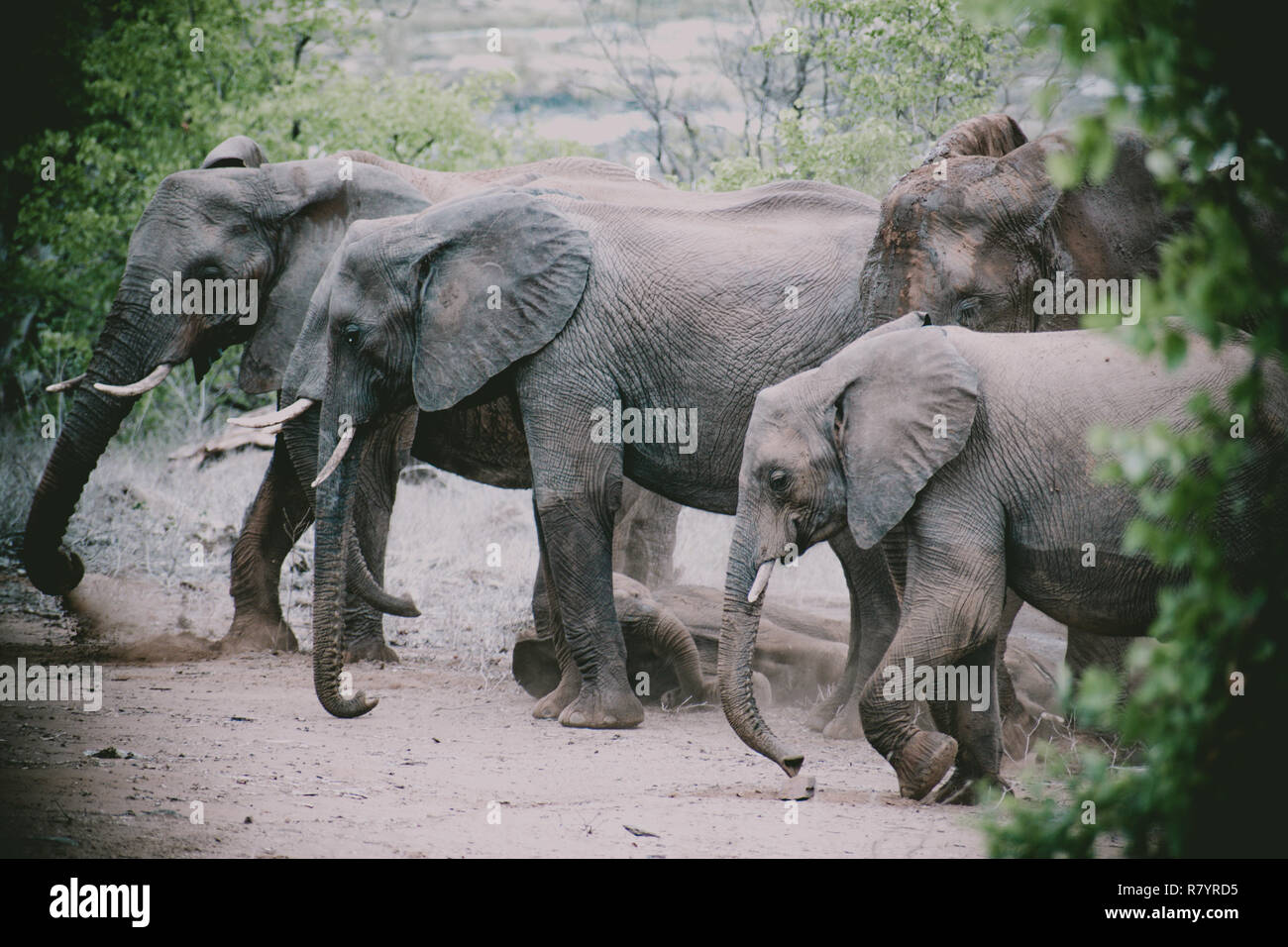 6000 x 4000 hi-res stock photography and images - Alamy