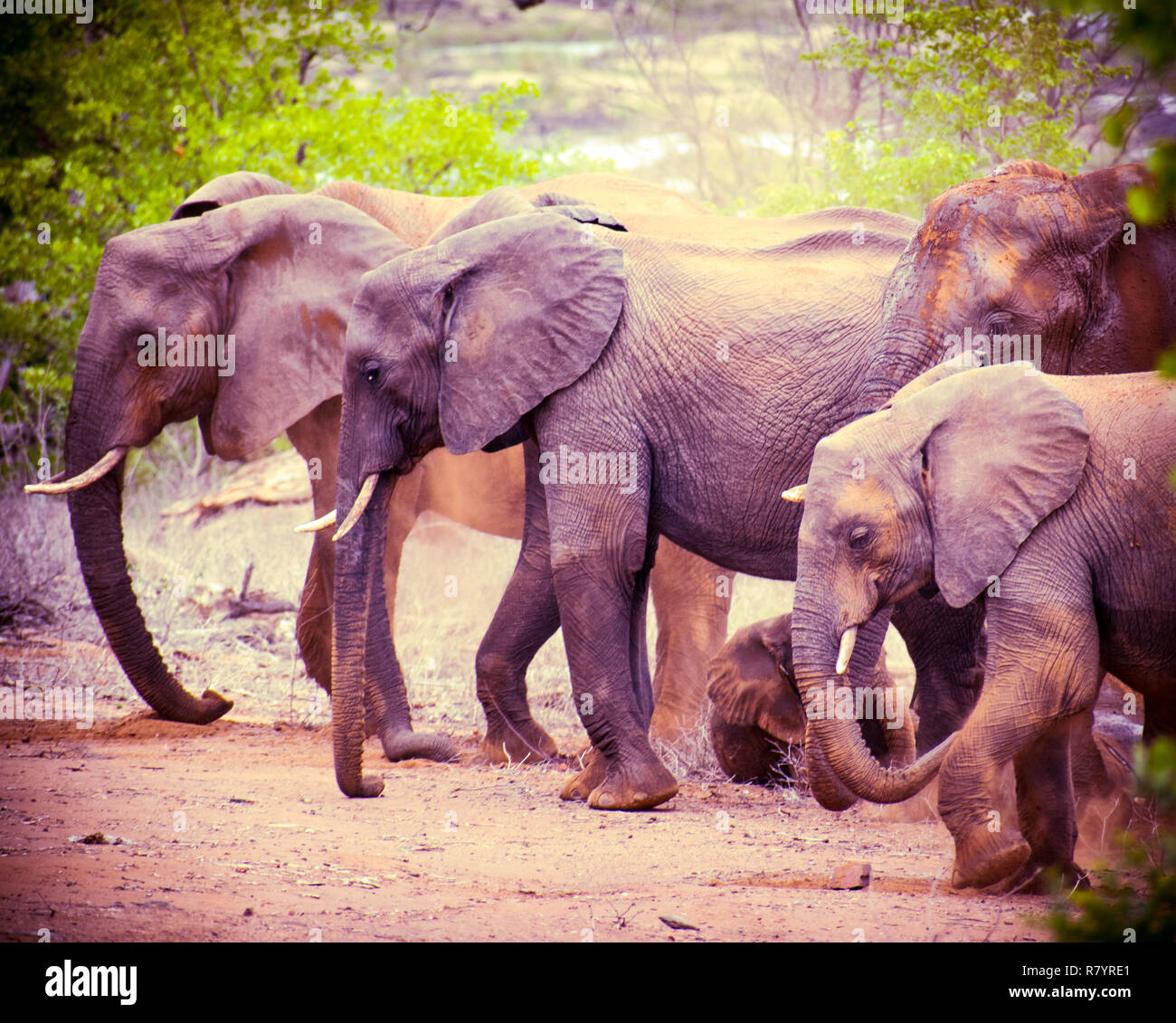 National geography hi-res stock photography and images - Alamy