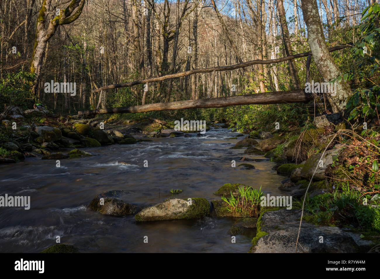 Log Bridge in Early Spring across a creak in the Great Smoky Mountains ...