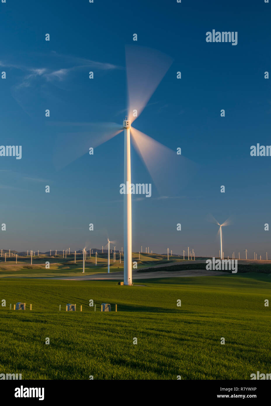 Field of Wind Towers with Spinning Blades, Idaho Stock Photo - Alamy
