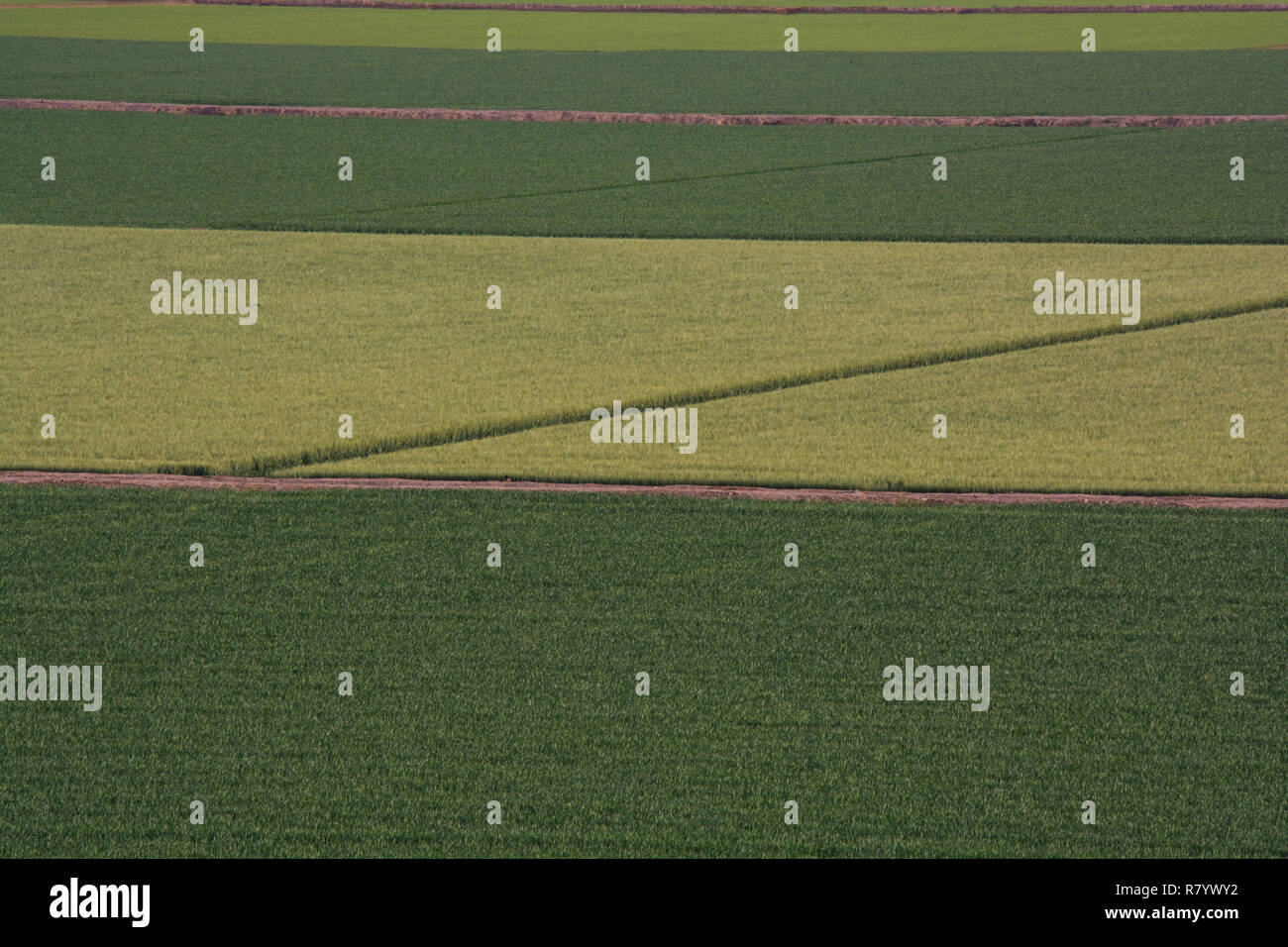 Farm Fields, Yuma, Arizona Stock Photo - Alamy