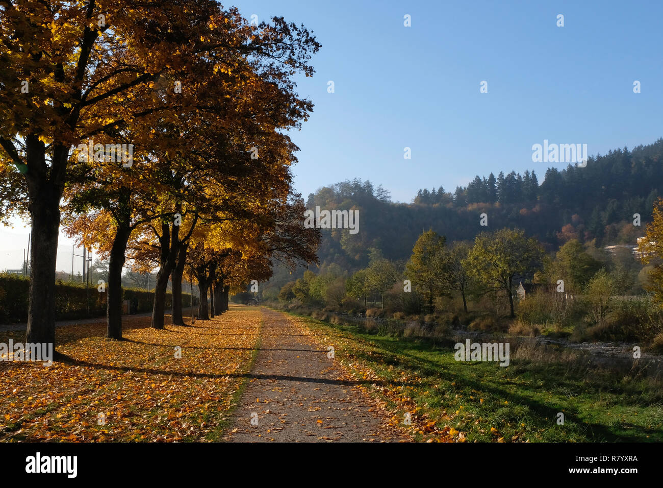 Autumn trees river hi-res stock photography and images - Alamy