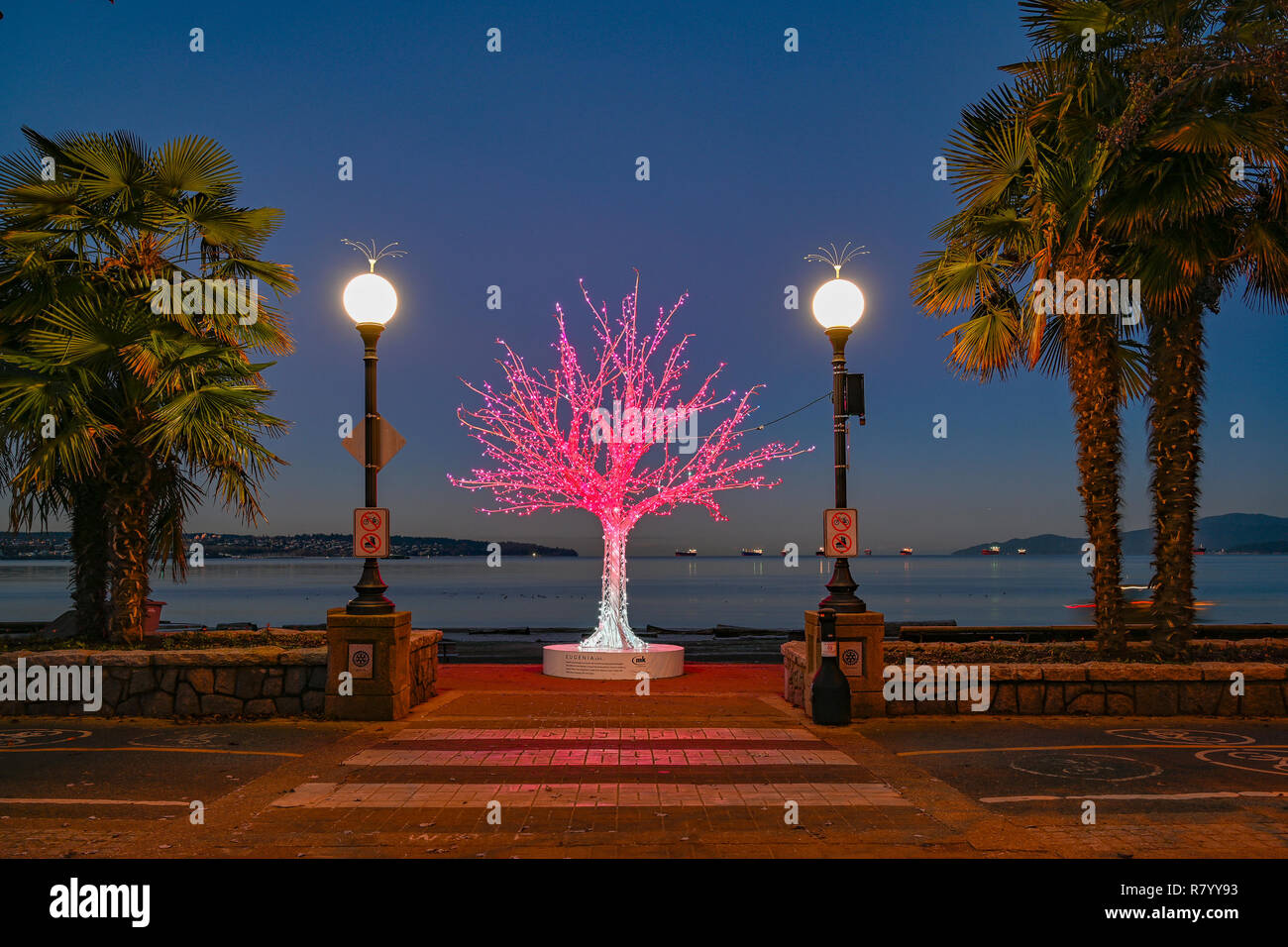 Lumiere Festival, Light display, art installation, Eugenia, by MK ...