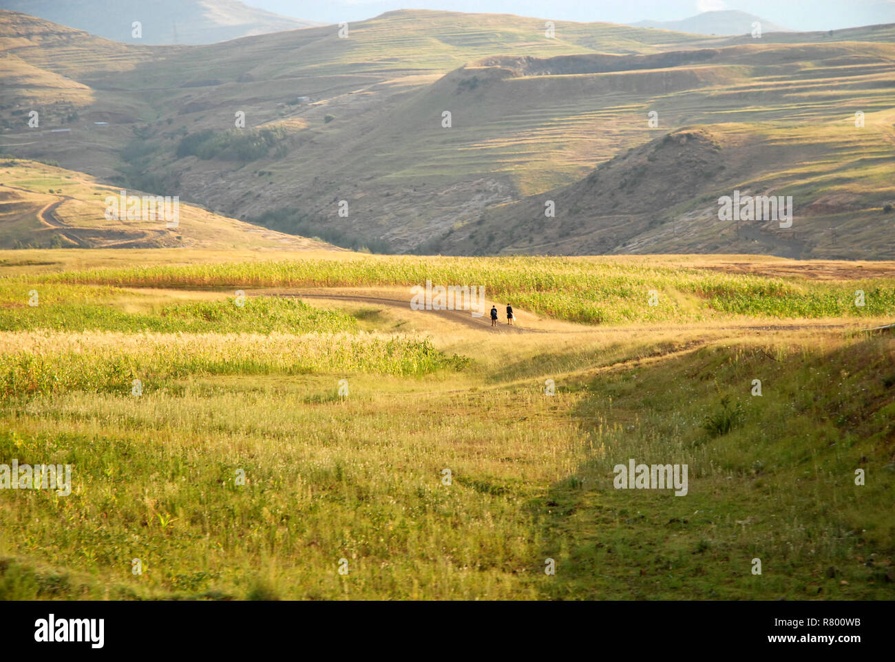 The Maluti or Maloti Mountains, a mountain range in the highlands of ...