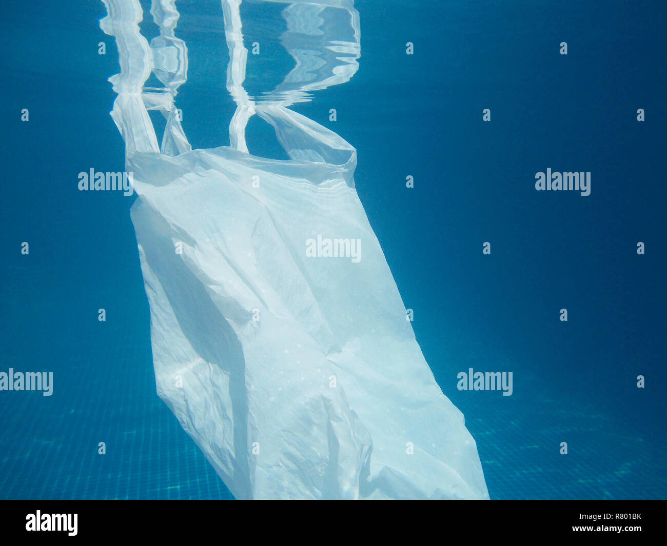 Plastic bag floating into the water. Polluted enviromental. Recycle ...