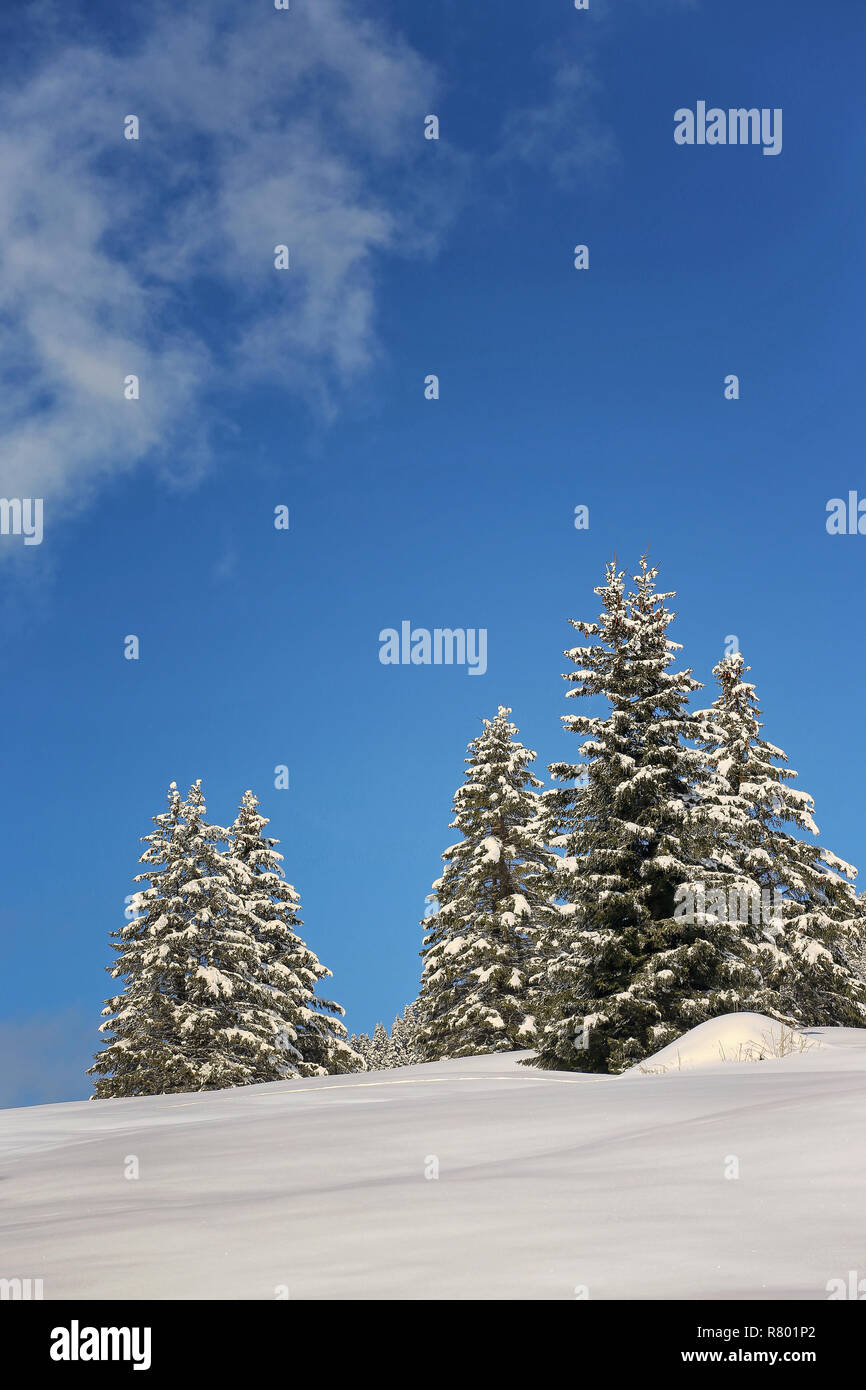 Switzerland christmas snow hi-res stock photography and images - Alamy