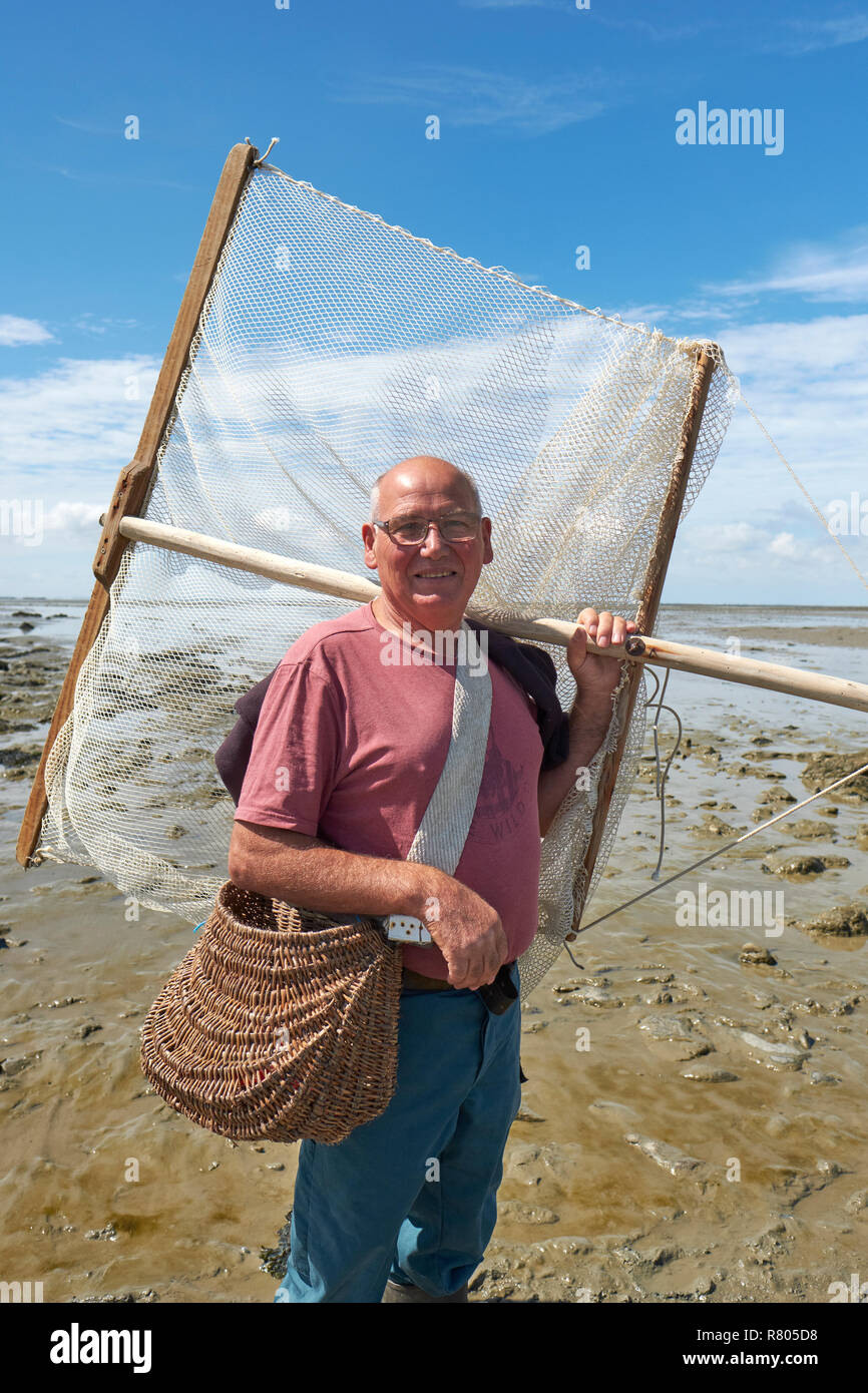 A man with his large shrimping push net on the Brittany coast Stock ...
