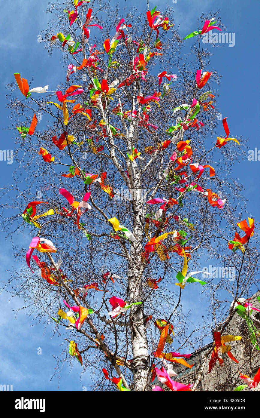 Decorated birch tree hi-res stock photography and images - Alamy