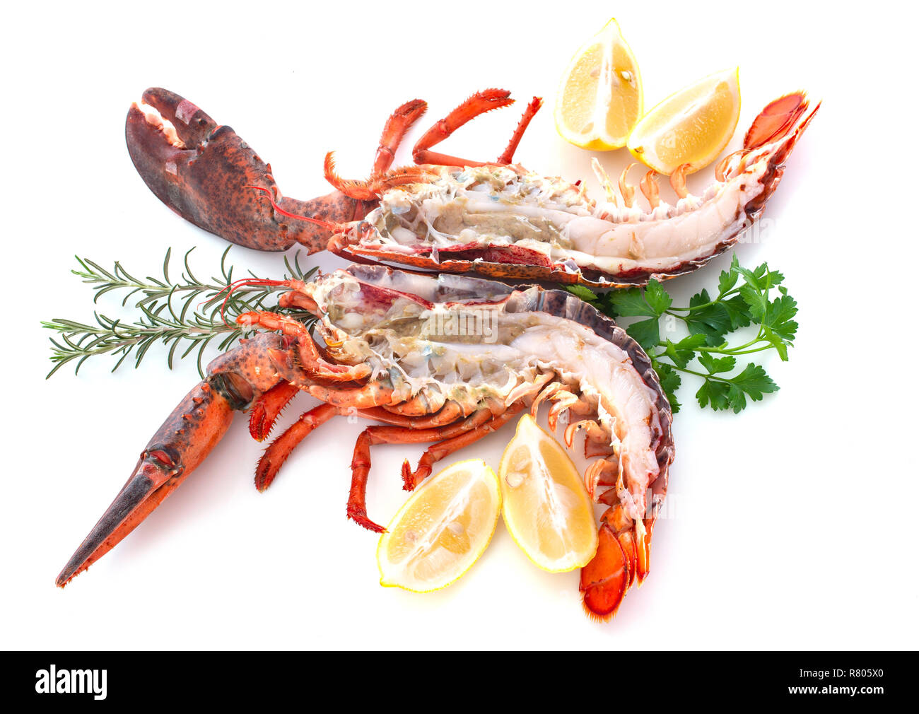 two lobsters in front of white background Stock Photo - Alamy