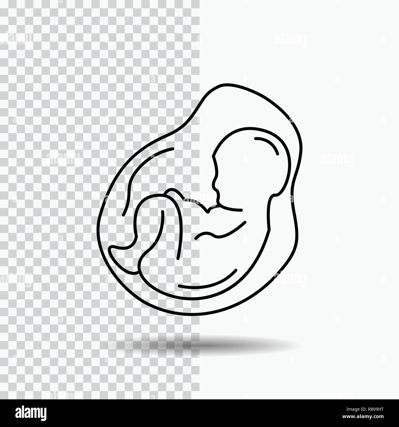Baby Embryo Vector