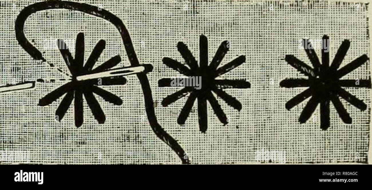 The dictionary of needlework : an encyclopaedia of artistic, plain, and ...