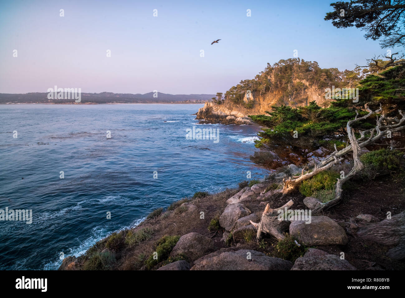 Point Lobos in Big Sur, California, including Morro Bay, McWay Falls ...