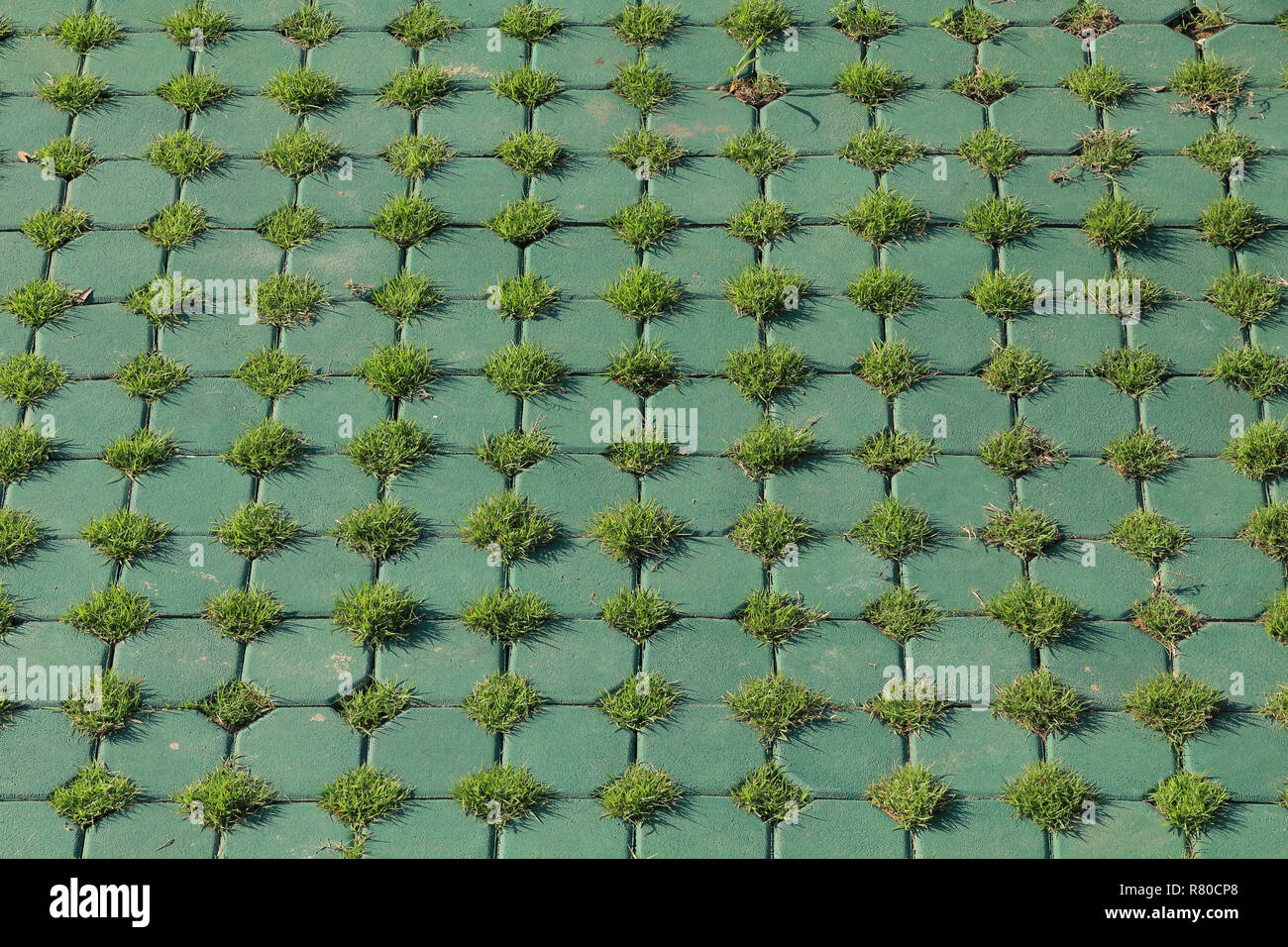 design of floor with use brick and grass Stock Photo - Alamy