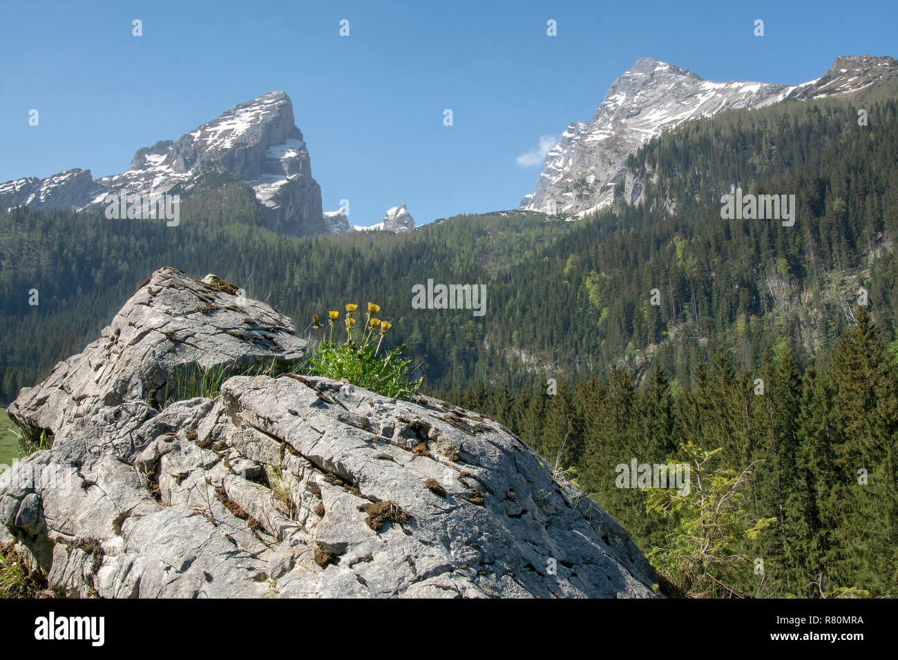 The mountain watzmann hi-res stock photography and images - Alamy