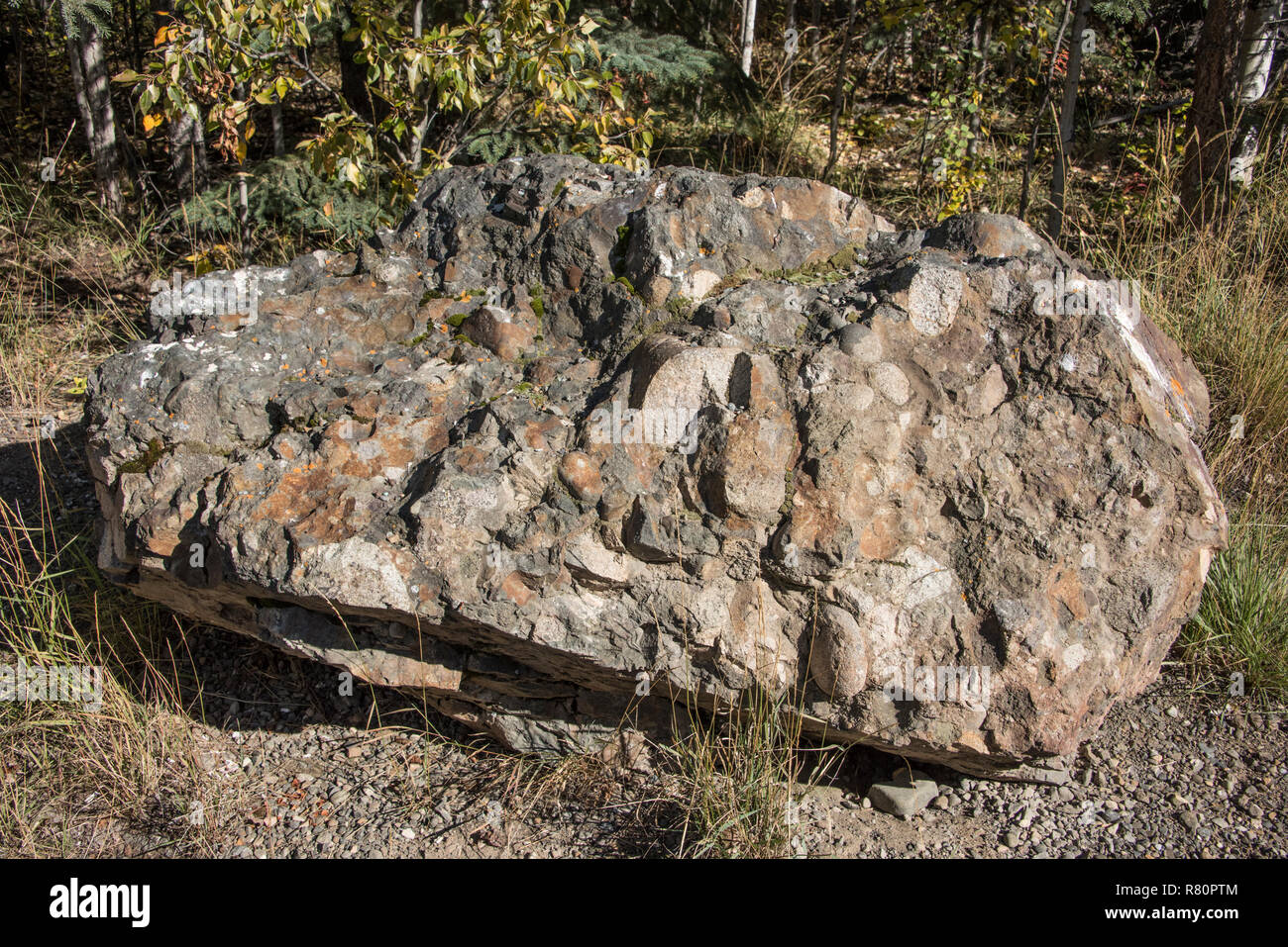 Concretion Rock High Resolution Stock Photography and Images - Alamy