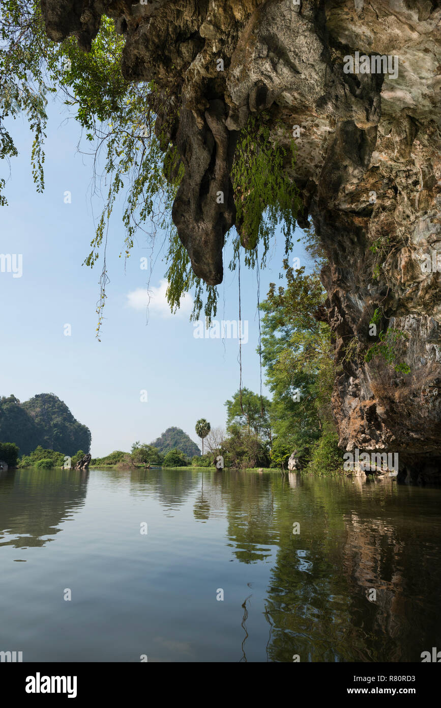 Vertical picture from inside of huge cave. Amazing view of trees and ...