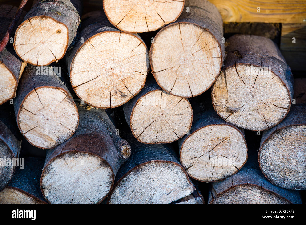 Round firewood, stacked in woodpile, texture Stock Photo - Alamy