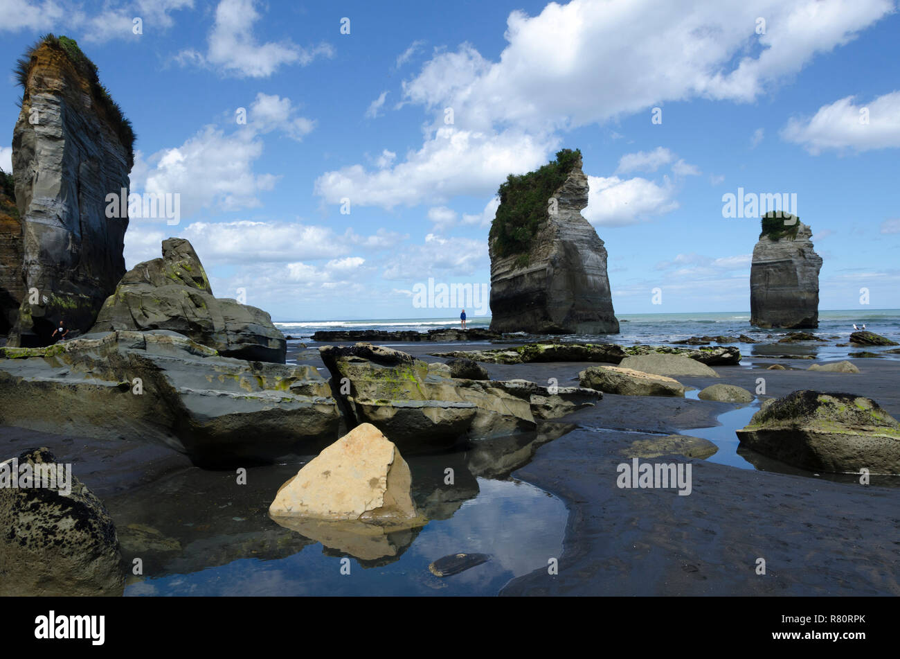 Rock pillars, Three Sisters, Tongaporutu, Taranaki, North Island, New ...